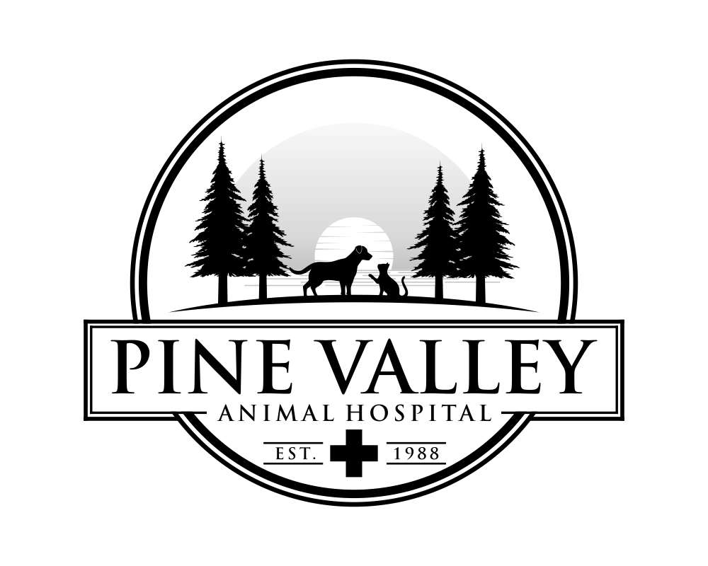 Pine Valley Animal Hospital