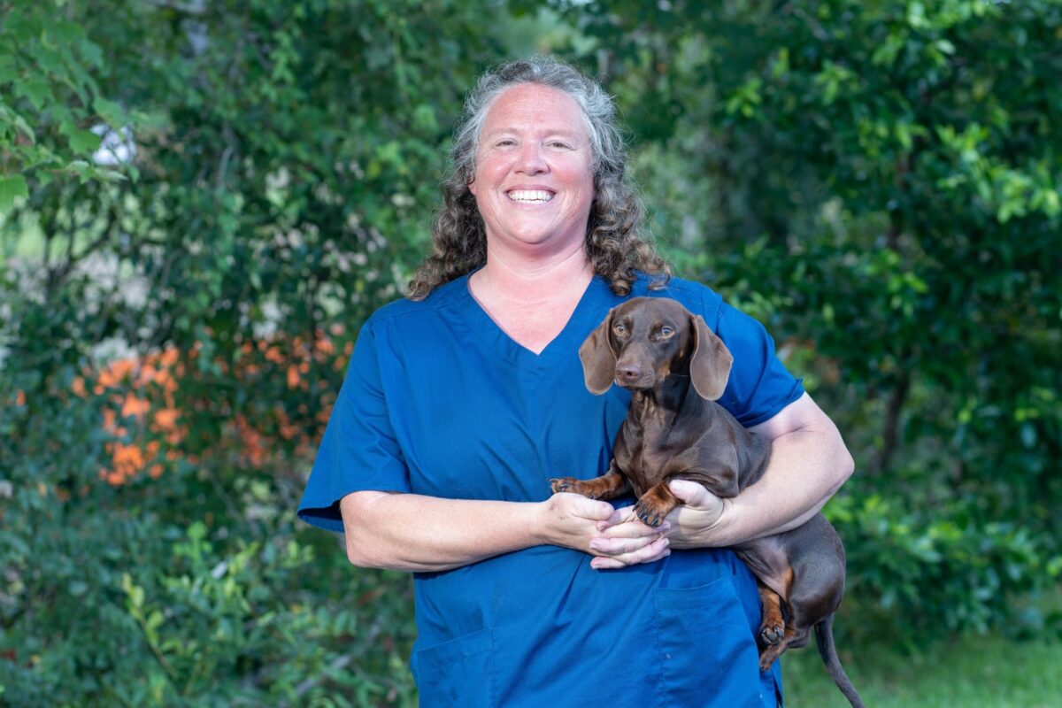 About – Pine Valley Animal Hospital